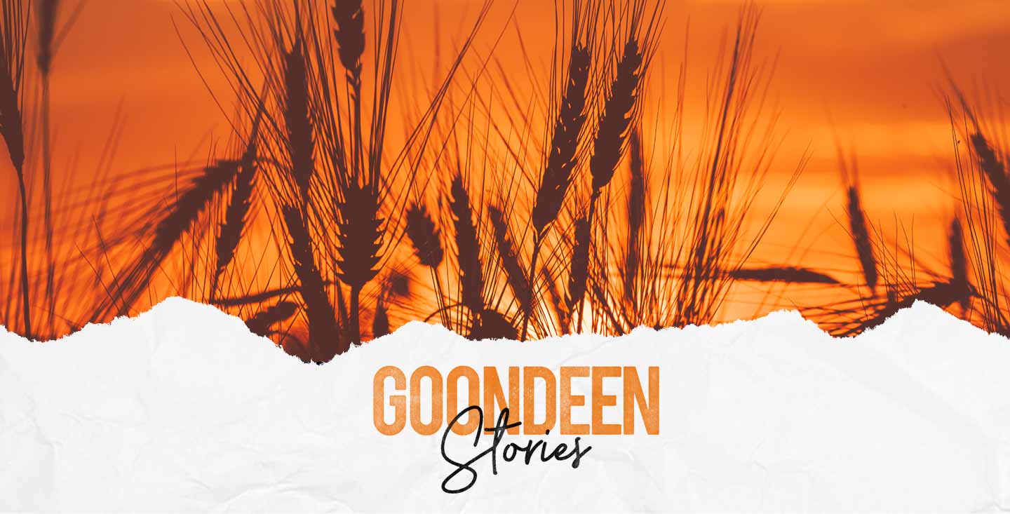 Your Story - Goondeen